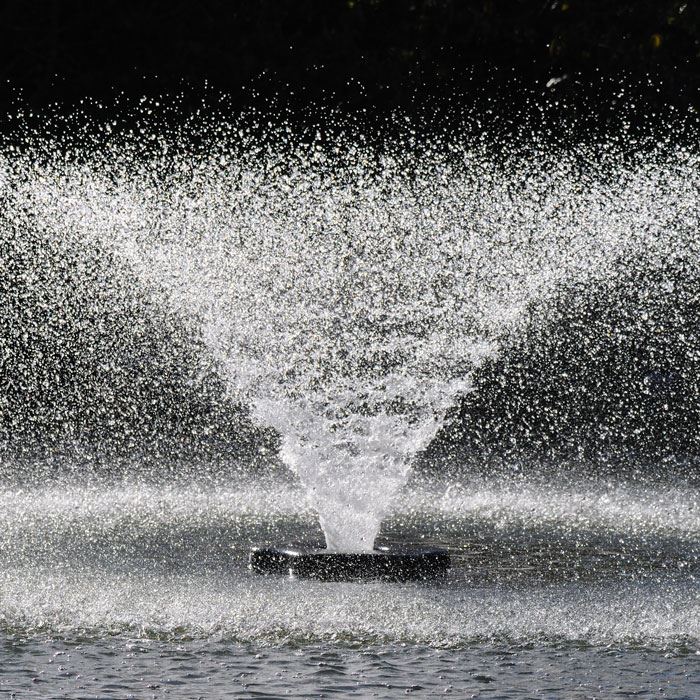 Aqua in Motion | Water Screens